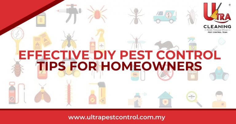 Effective DIY Pest Control Tips for Homeowners - Ultra Pest Control