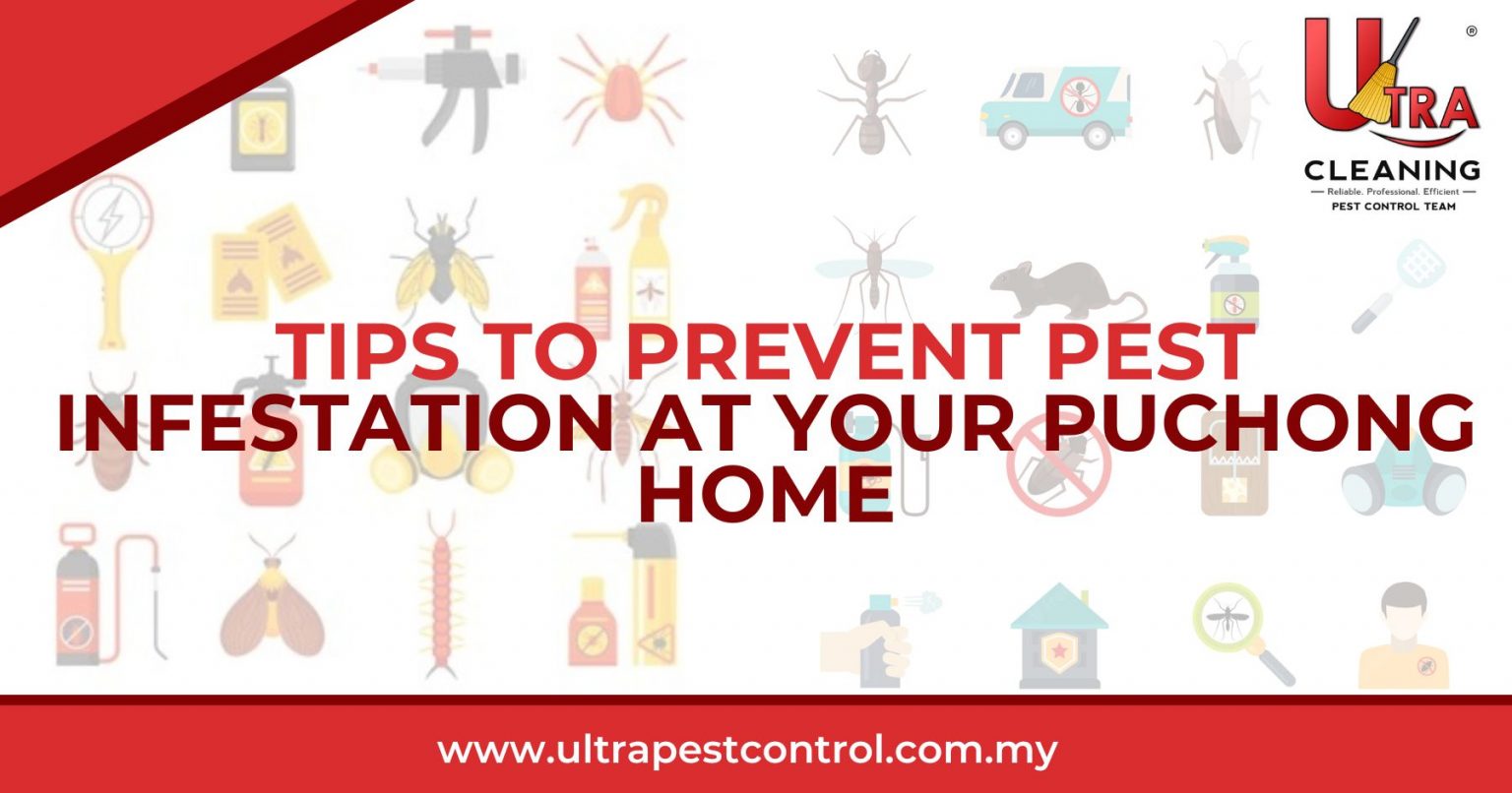 Tips to Prevent Pest Infestation at Your Puchong Home - Ultra Pest Control