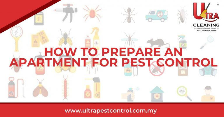 How To Prepare An Apartment For Pest Control - Ultra Pest Control