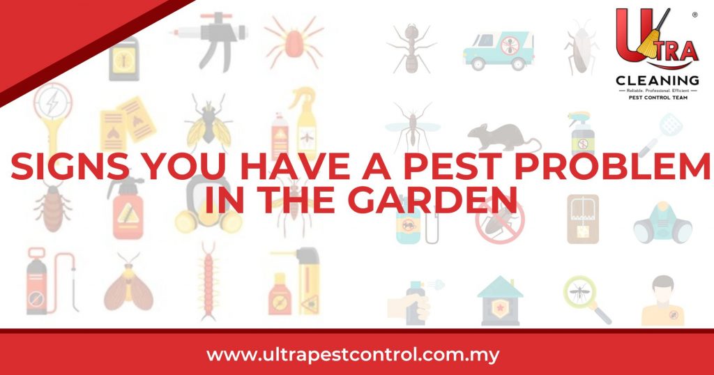 Signs You Have a Pest Problem in the Garden [2024]