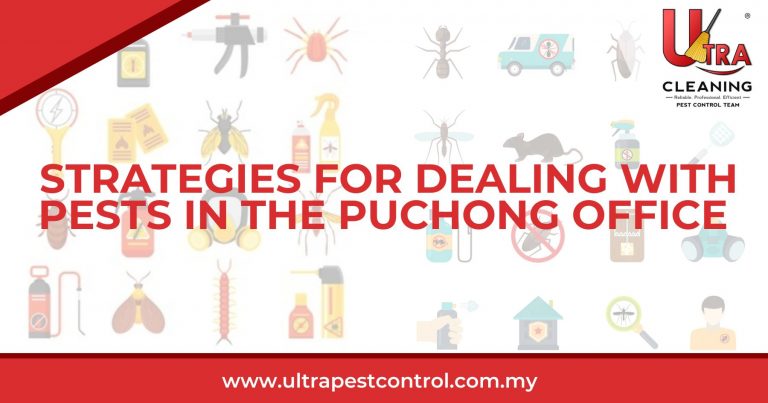 Strategies for Dealing with Pests in Puchong Office [2023]
